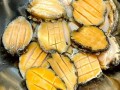 鲍鱼怎么处理_鲍鱼清洗去内脏教程