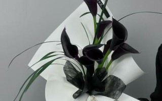 马蹄莲花语代表什么_马蹄莲适合送什么人