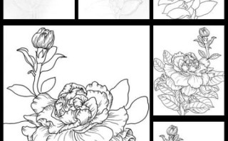 栀子花简笔画怎么画_栀子花图片简笔画步骤