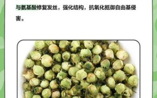 雪莲花的作用与功效怎么吃_雪莲花泡水一次放多少