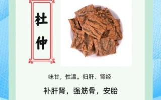 杜仲的功效与作用吃法_杜仲的禁忌有哪些