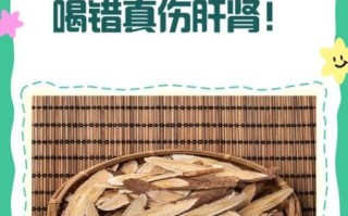 黄芪精的功效与作用禁忌_适合哪些人吃 黄芪精的功效与作用禁忌_适合哪些人吃