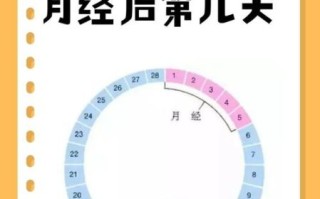月经干净了第几天排卵_排卵期怎么算才准