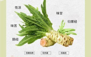 女人吃莴苣有什么好处_莴苣对女性健康的作用