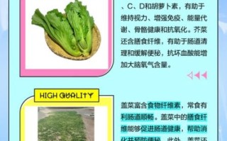 盖菜怎么做好吃_盖菜和芥菜的区别