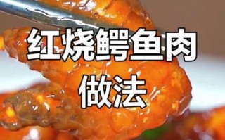 鳄鱼肉怎么做好吃_鳄鱼肉的做法大全