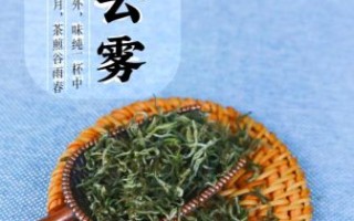 庐山云雾茶多少钱一斤_庐山云雾茶属于什么档次