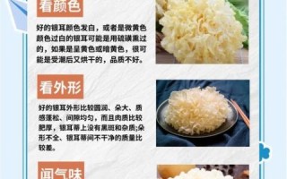 白色木耳是银耳吗_白色木耳和银耳的区别