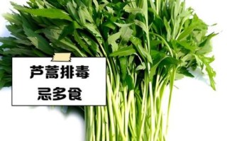 芦蒿什么人不能吃_芦蒿禁忌人群有哪些