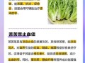 苦菜是什么菜_苦菜的功效与作用