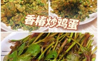 香椿炒鸡蛋要焯水吗_香椿焯水几分钟