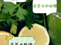 香菜煮水洗脸有什么好处_香菜水洗脸能天天用吗