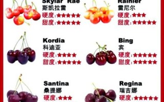 车厘子怎么挑_车厘子实拍图怎么看