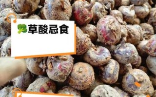 荸荠不能和什么一起吃_孕妇能吃荸荠吗