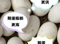 鹅蛋和鸭蛋哪个营养高_孕妇吃鹅蛋还是鸭蛋好