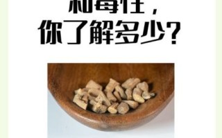 牛膝草的功效与作用_牛膝草能治什么病