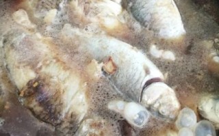 农家炖鲤鱼怎么做_家常做法步骤详解