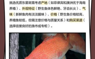 东星斑养殖条件_东星斑养殖周期多久