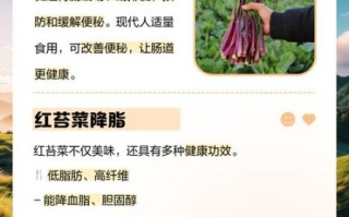 红菜苔的功效与作用_孕妇能吃吗