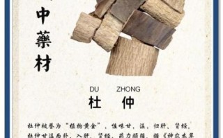 哪些人不宜吃杜仲_杜仲禁忌人群有哪些