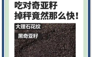 奇亚籽的功效与作用及禁忌_哪些人不能吃奇亚籽