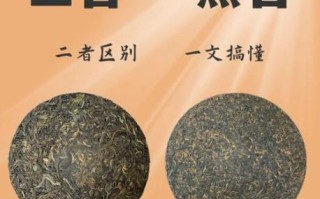 普洱茶生茶和熟茶的区别_普洱茶怎么储存最好