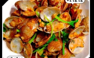 爆炒花甲怎么炒_花甲怎么炒才没沙子