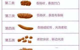 屎可以吃吗_屎有没有毒