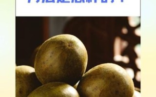 罗汉果可以降血糖吗_罗汉果怎么泡水喝