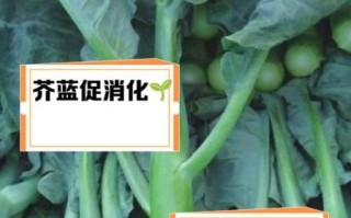 芥蓝的功效与作用_芥蓝的营养价值有哪些