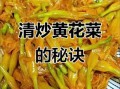 新鲜黄花菜可以炒着吃吗_新鲜黄花菜怎么炒才安全