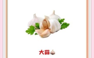 防辐射吃什么食物比较好_哪些食物防辐射效果好