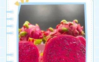 孕妇吃火龙果好吗_孕妇吃火龙果对胎儿好吗