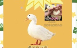 北京烤鸭怎么做_正宗挂炉步骤