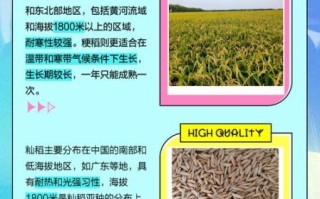 粳籼怎么读_粳籼有什么区别