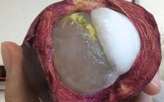 山竹果肉变透明还能吃吗_山竹果肉变透明的原因