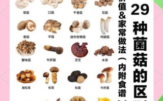 哪种菌菇营养最高_菌菇怎么吃最补