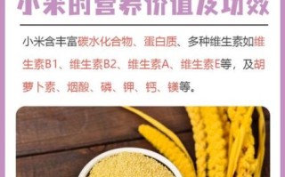 小米的功效与作用及食用方法_小米的禁忌有哪些