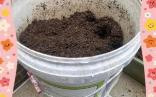 豆渣可以直接做肥料吗_豆渣沤肥方法