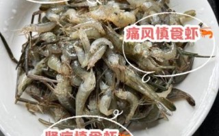 小鱼小虾吃什么食物_如何科学投喂