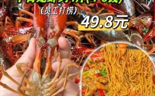 大龙虾多少钱一斤_2024年最新行情