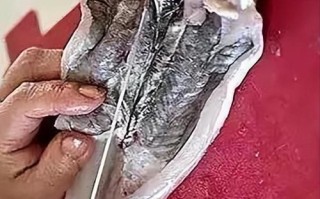 鱼肚子里的黑膜是什么_吃了有害吗