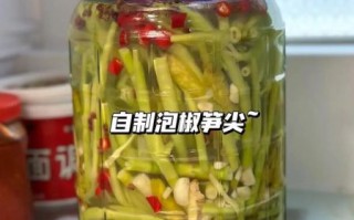 野生竹笋怎么做好吃_野生竹笋的做法大全