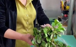 灰灰菜怎么吃好吃_灰灰菜做法大全