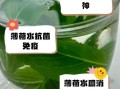 薄荷叶怎么泡水_薄荷叶泡水正确方法