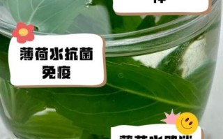 薄荷叶怎么泡水_薄荷叶泡水正确方法