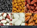 what_are_cocoa_beans_used_for_how_to_store_cocoa_beans