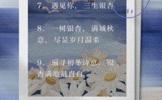银杏心语是什么_银杏心语怎么用
