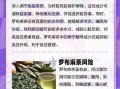 罗布麻的副作用有哪些_罗布麻茶长期喝安全吗