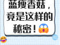 蓝瘦香菇是什么意思_蓝瘦香菇视频出处